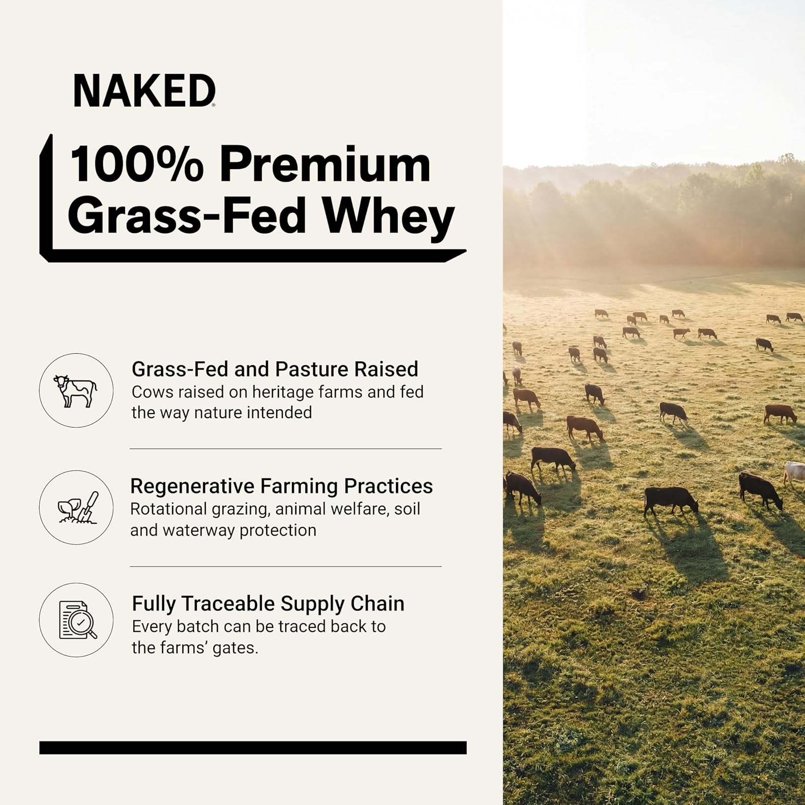 high-quality whey protein for athletes