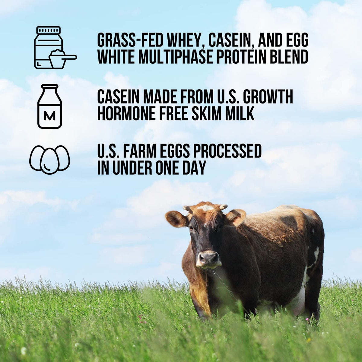 high-quality whey protein for muscle gain