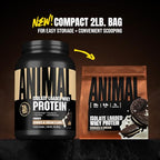 high-quality whey protein for muscle recovery
