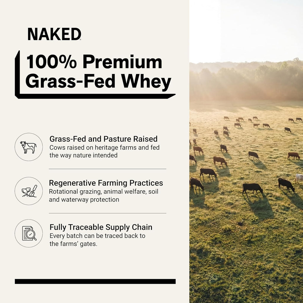 high-quality whey protein for recovery