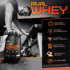 high-quality whey protein powder