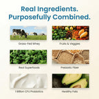 high-quality whey protein powder