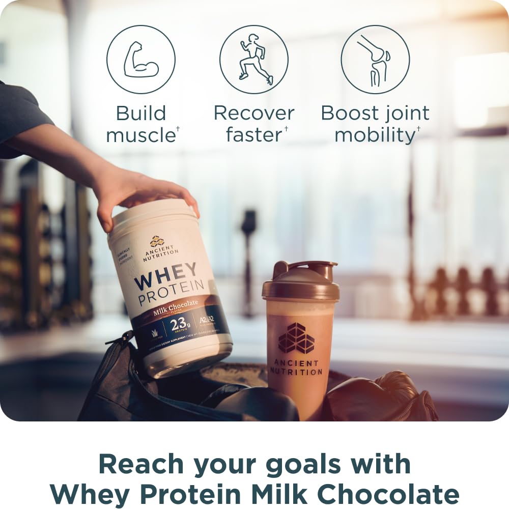 high quality whey protein source