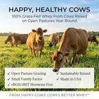 high-quality whey protein supplement
