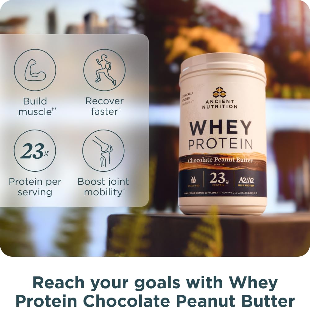 high quality whey protein supplement