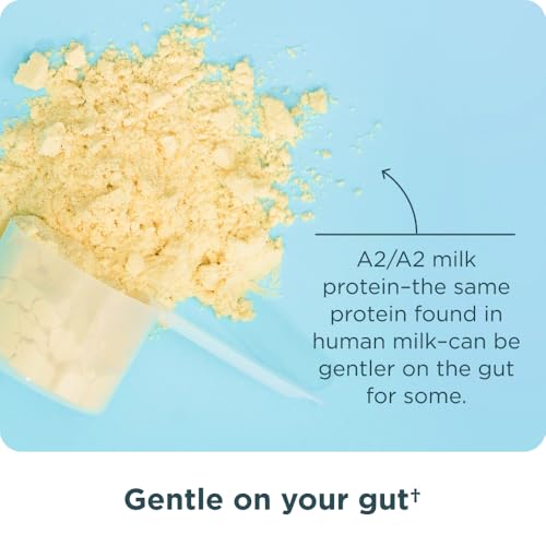 high quality whey protein supplement