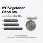 high-quality zinc vegetarian capsules
