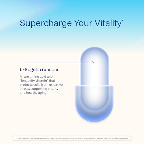 High-strength mushroom supplement for dogs