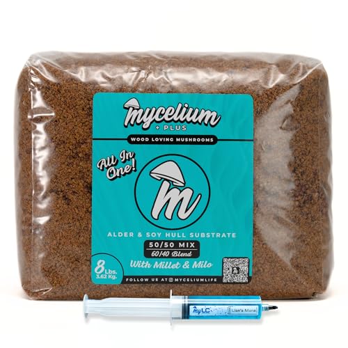 high yield mushroom cultivation