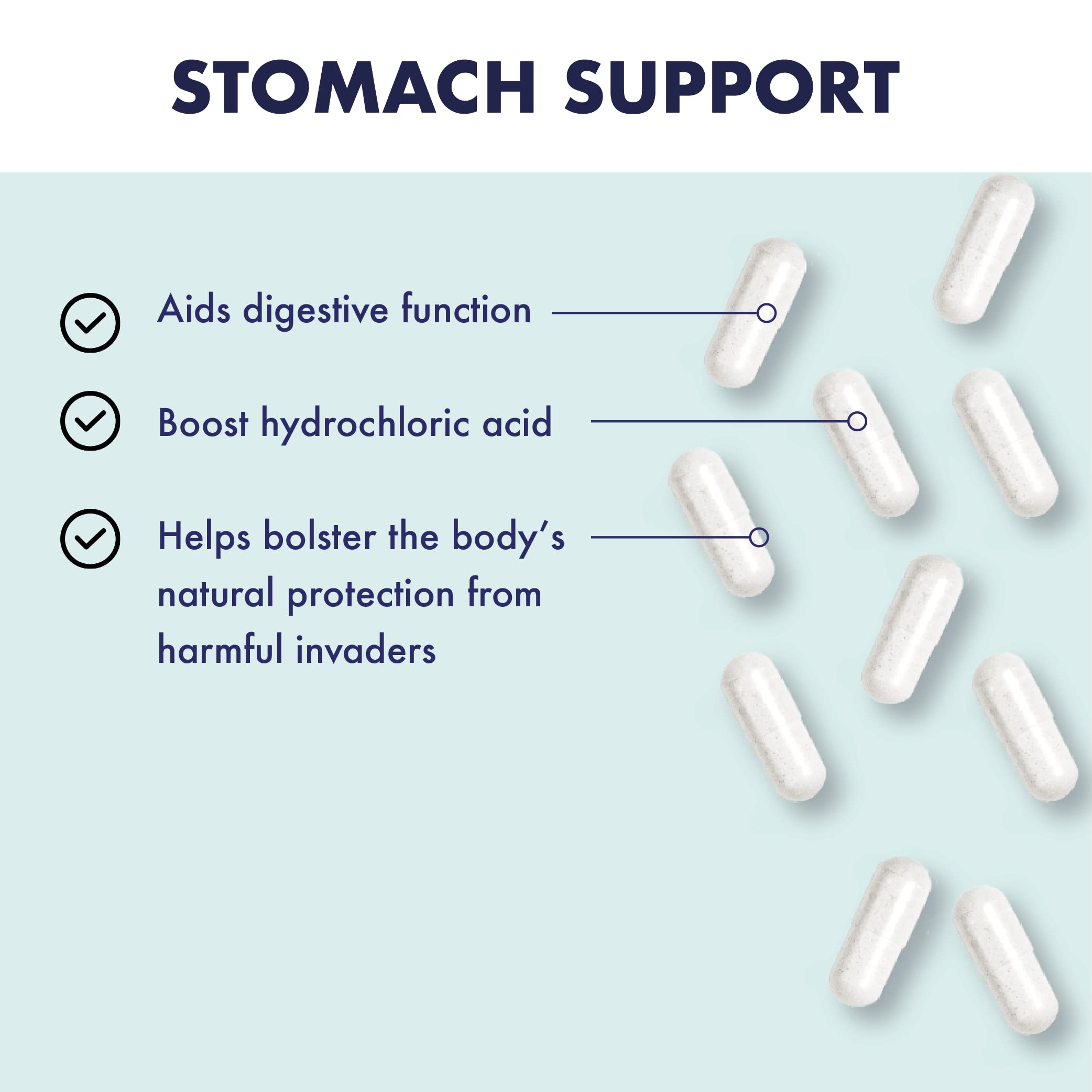 Higher Nature Betaine for nutrient absorption