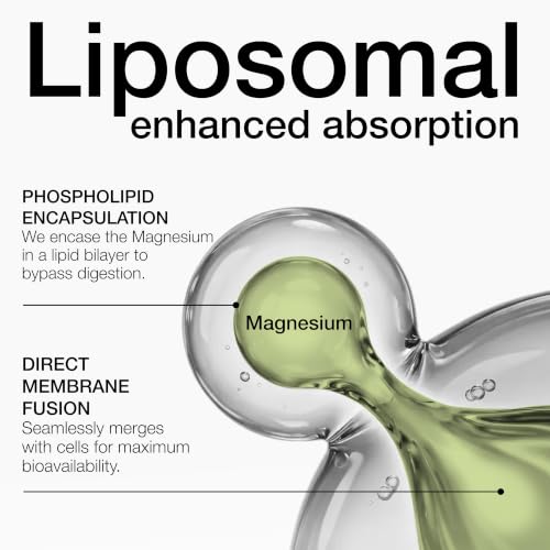 highly absorbable magnesium supplement