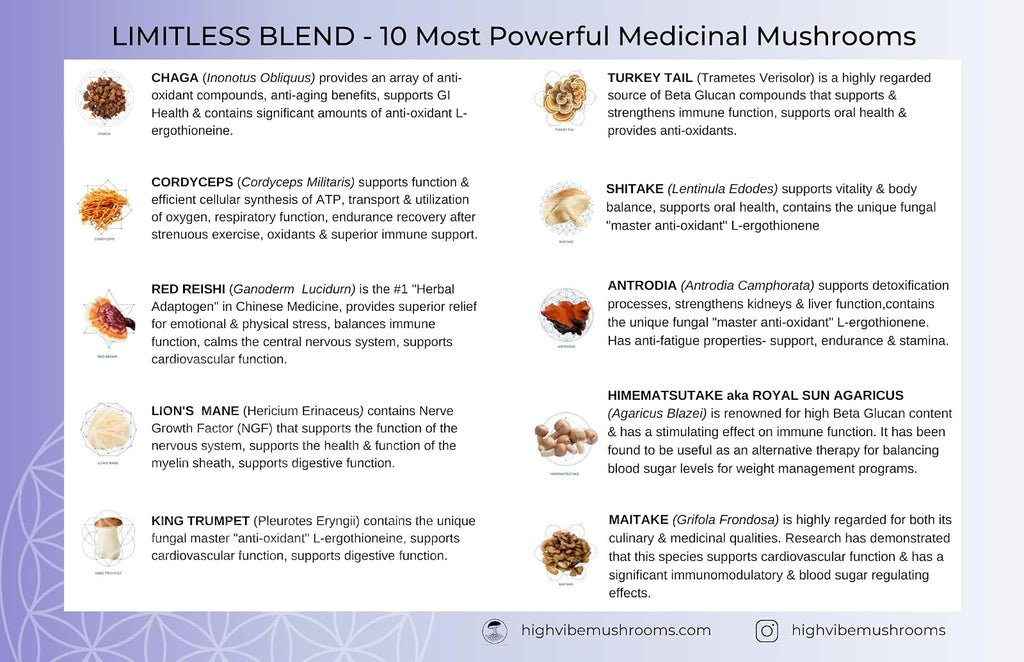 HighVibe adaptogen blend for stress relief