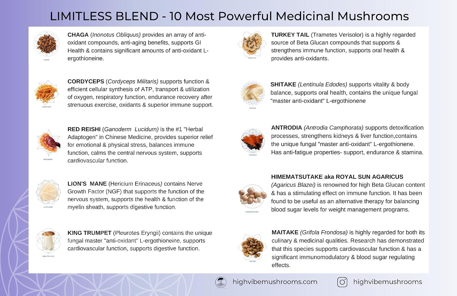 HighVibe adaptogen blend for stress relief