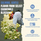HIIHONE chamomile tea bags for digestive health