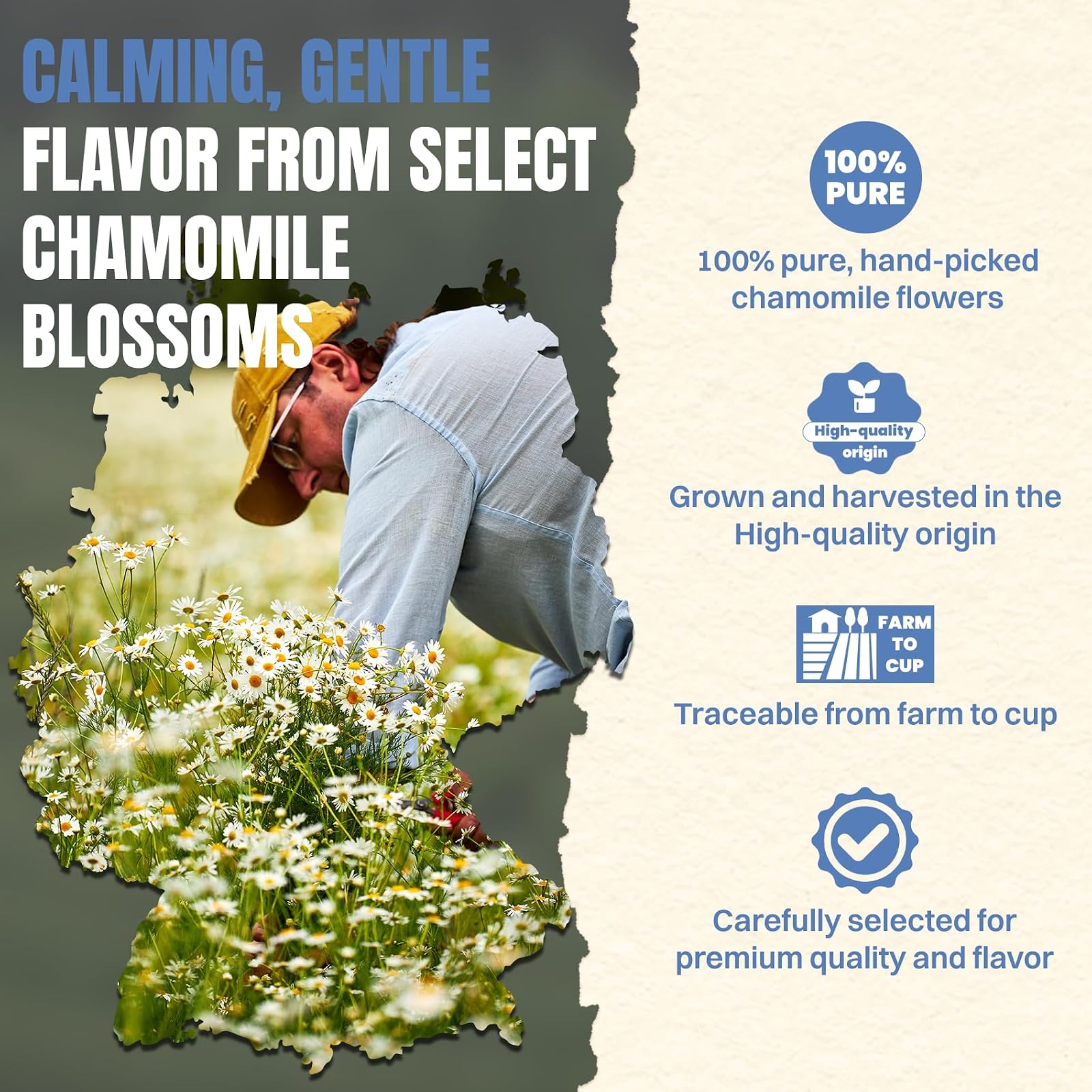 HIIHONE chamomile tea bags for digestive health