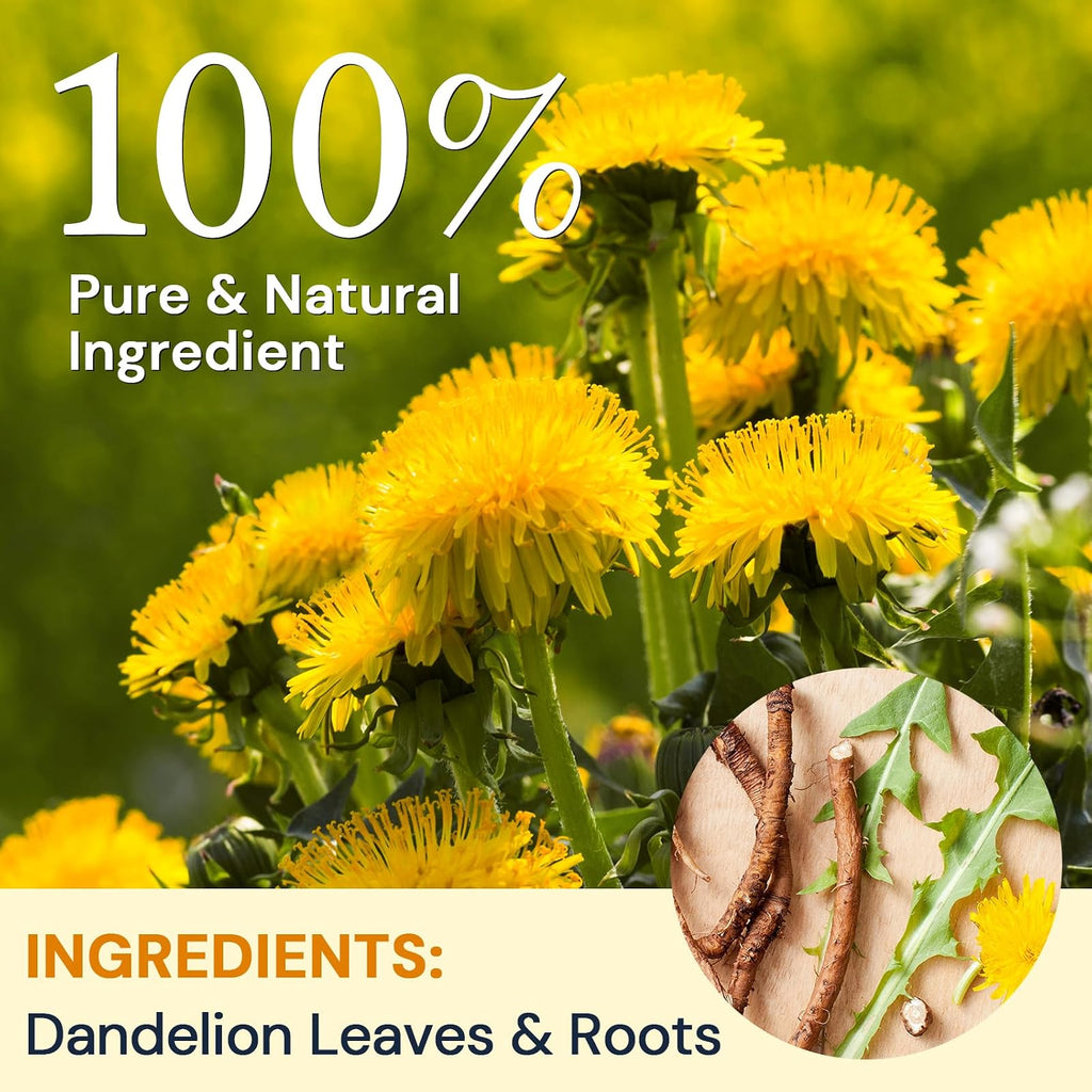 HIIHONE dandelion leaf tea bags