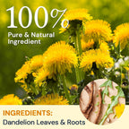 HIIHONE dandelion leaf tea bags