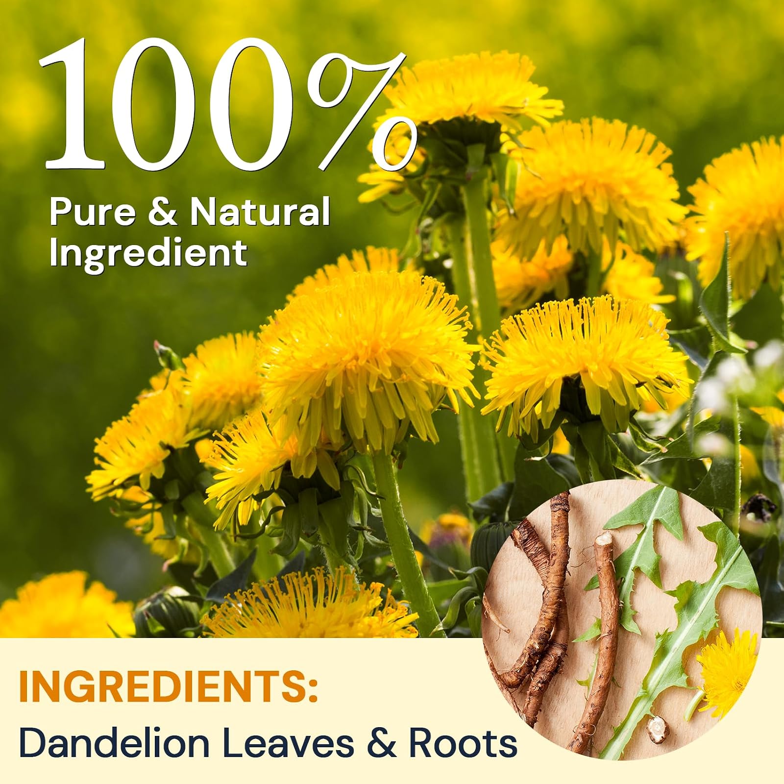 HIIHONE dandelion leaf tea bags