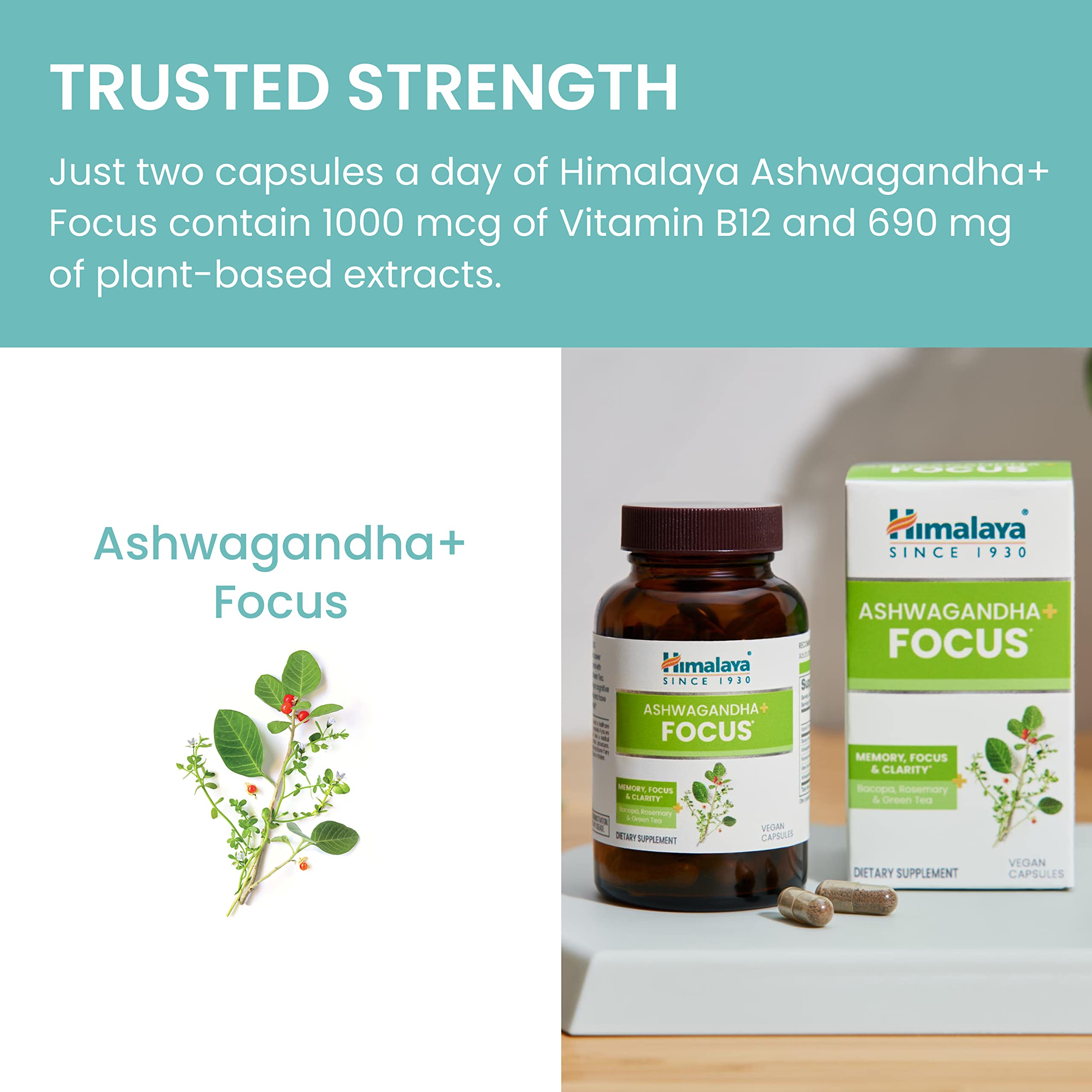 Himalaya ashwagandha for better sleep