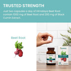 Himalaya beet root for enhanced stamina