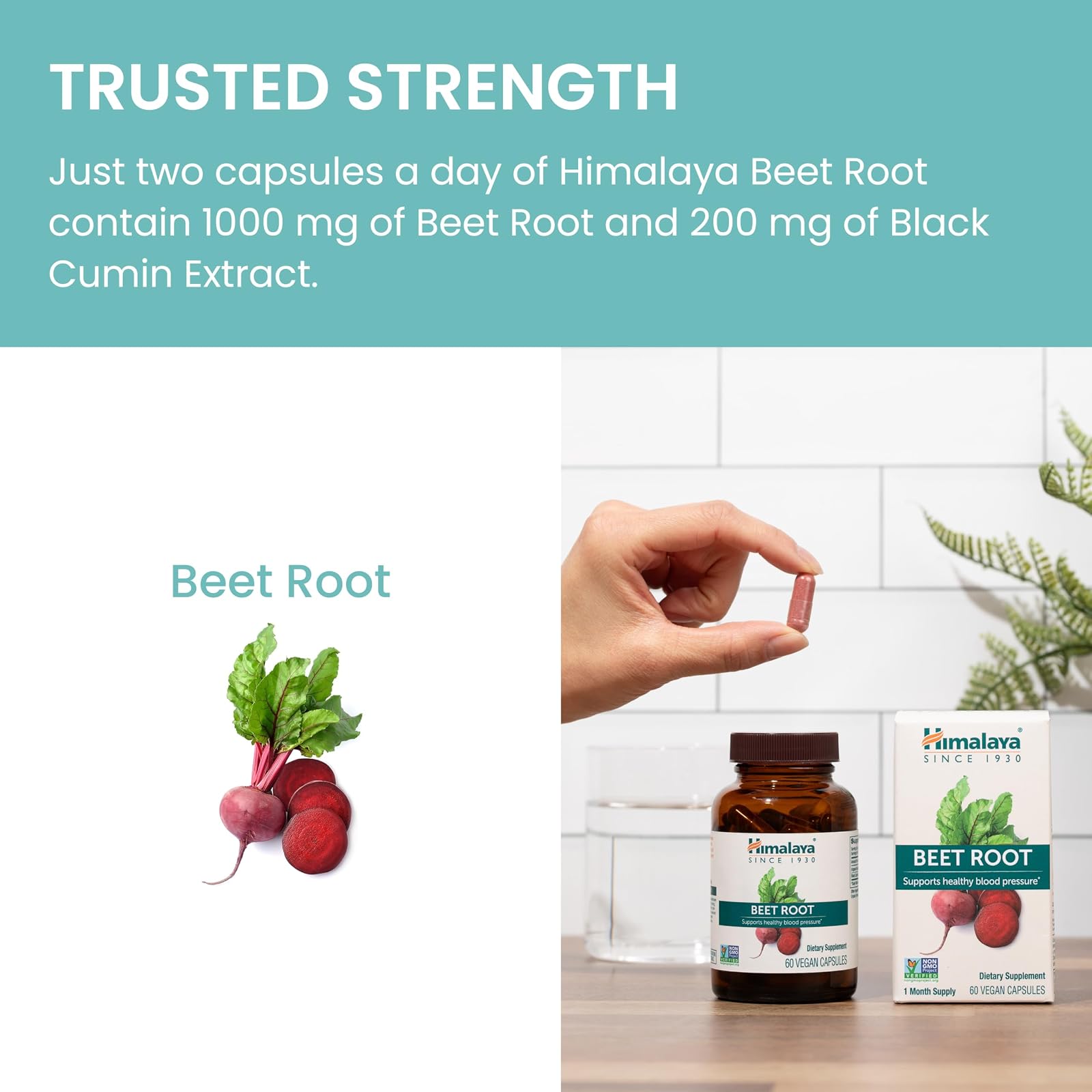 Himalaya beet root for enhanced stamina