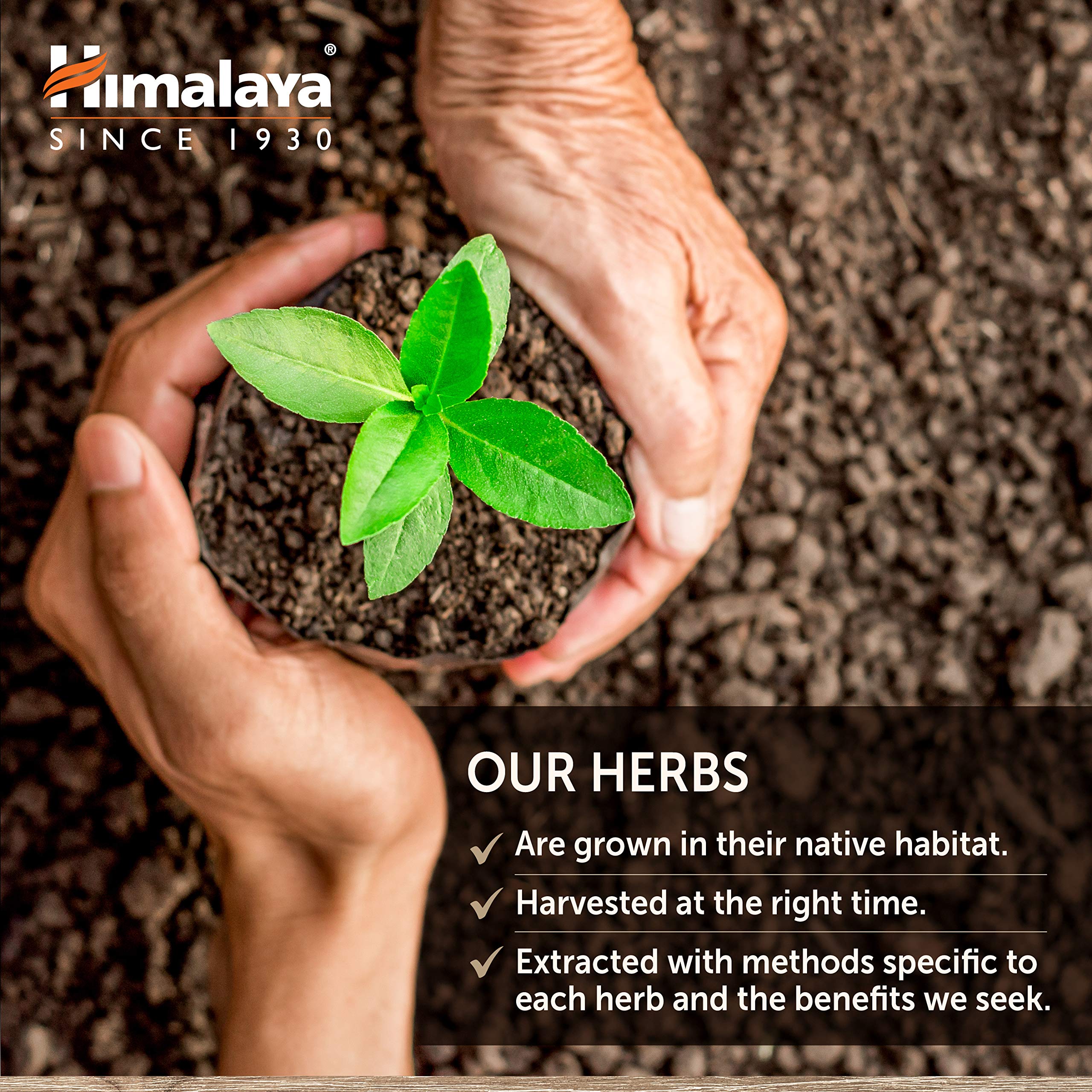 Himalaya caplets for daily nutrition