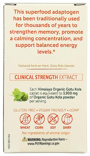 Himalaya ginkgo biloba for mental clarity