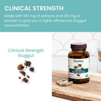 Himalaya Guggul for overall wellness