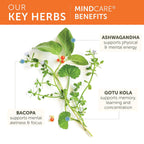 Himalaya herbal supplement for mental clarity