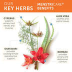 Himalaya multivitamin capsules for vitality