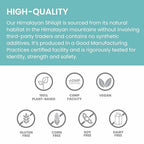 Himalaya shilajit for mental clarity