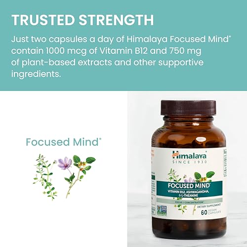 Himalaya supplement for concentration