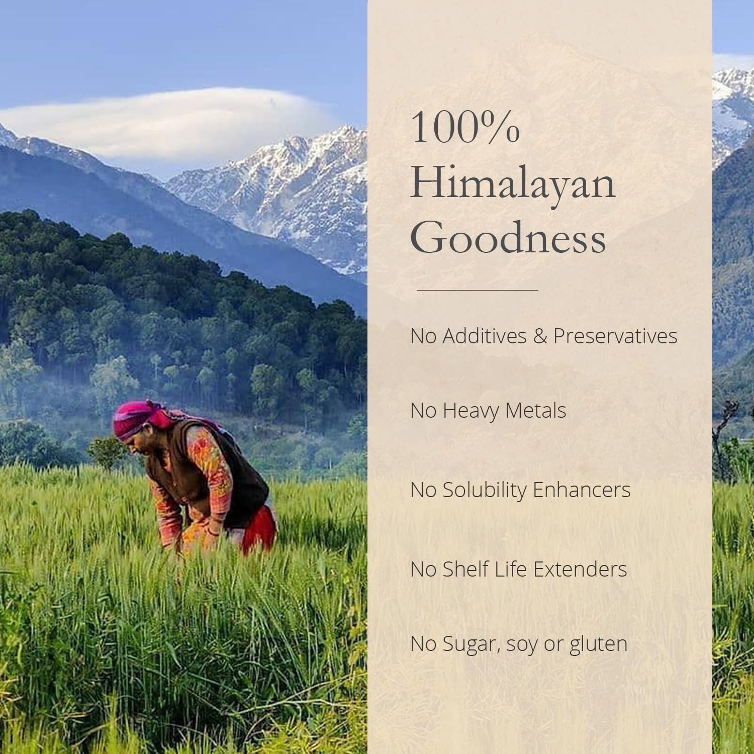 Himalayan Ashwagandha for stress and anxiety