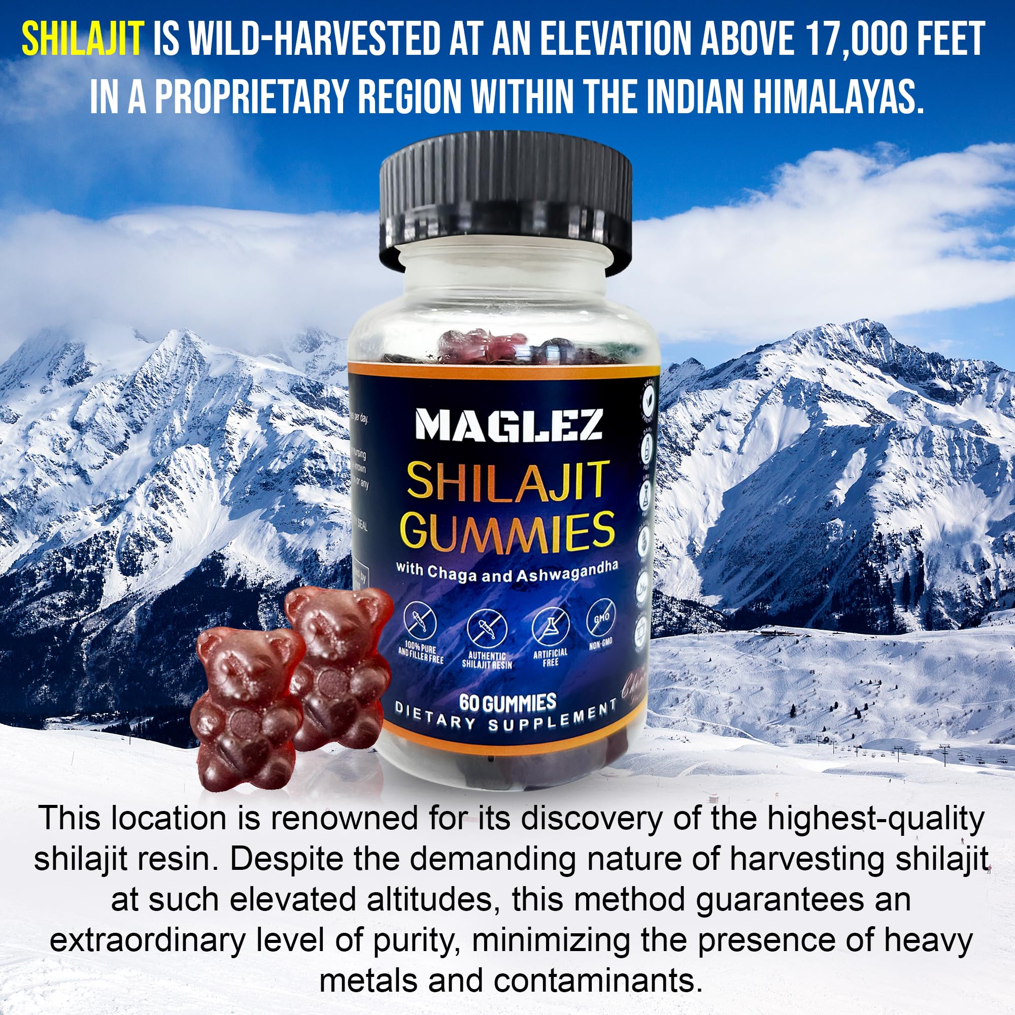 Himalayan fulvic acid supplement benefits