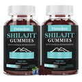 Himalayan Gold shilajit gummies benefits