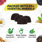 Himalayan Natural Shilajit energy boost