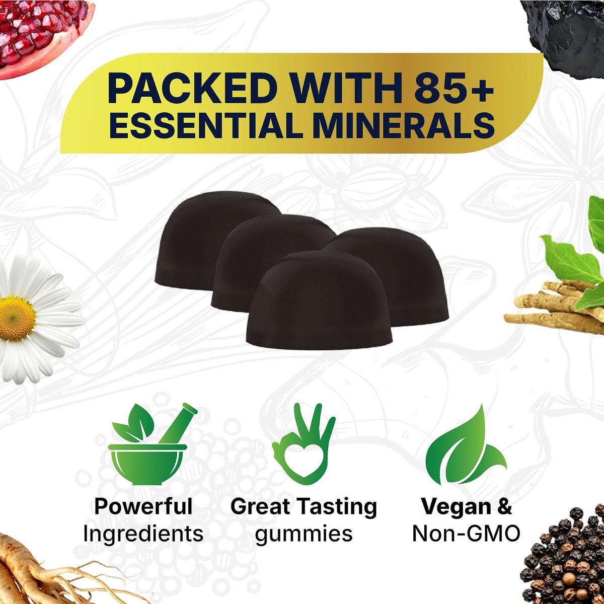 Himalayan Natural Shilajit energy boost