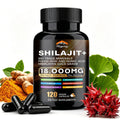 Himalayan Organic Shilajit capsules