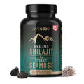 Himalayan shilajit capsules for energy