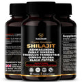 Himalayan shilajit capsules for energy