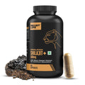 Himalayan Shilajit capsules for energy