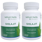 Himalayan shilajit capsules for energy