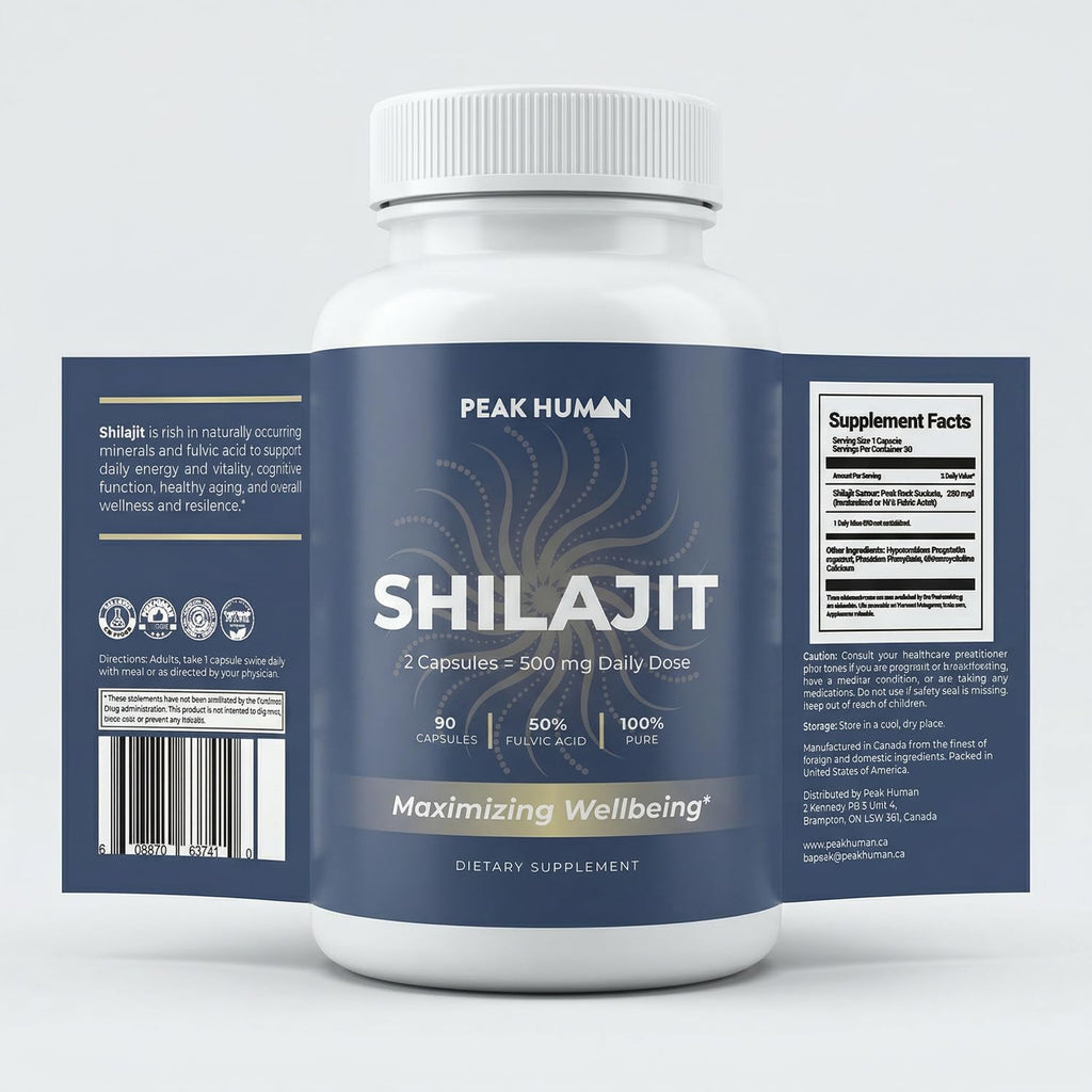 Himalayan Shilajit extract benefits