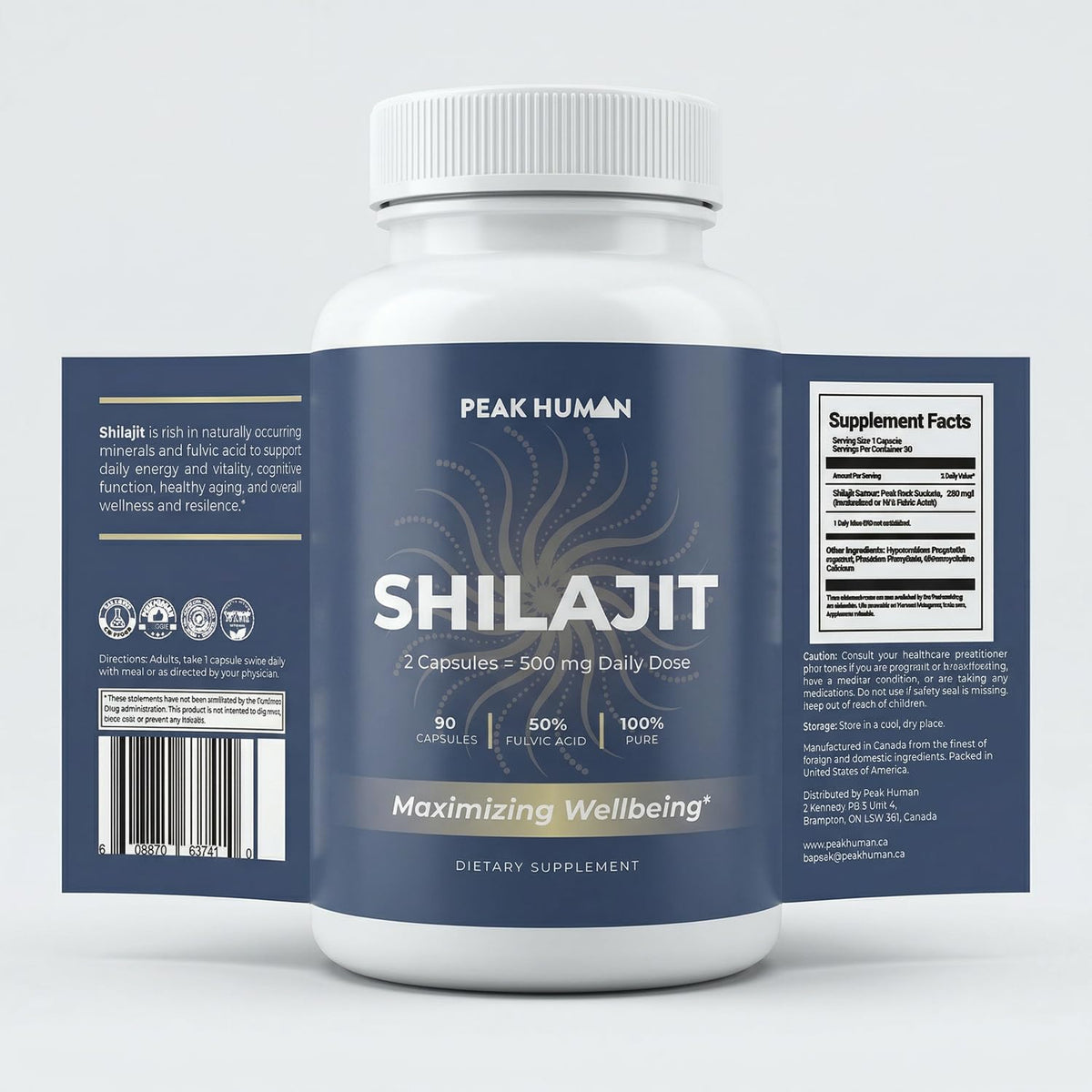 Himalayan Shilajit extract benefits