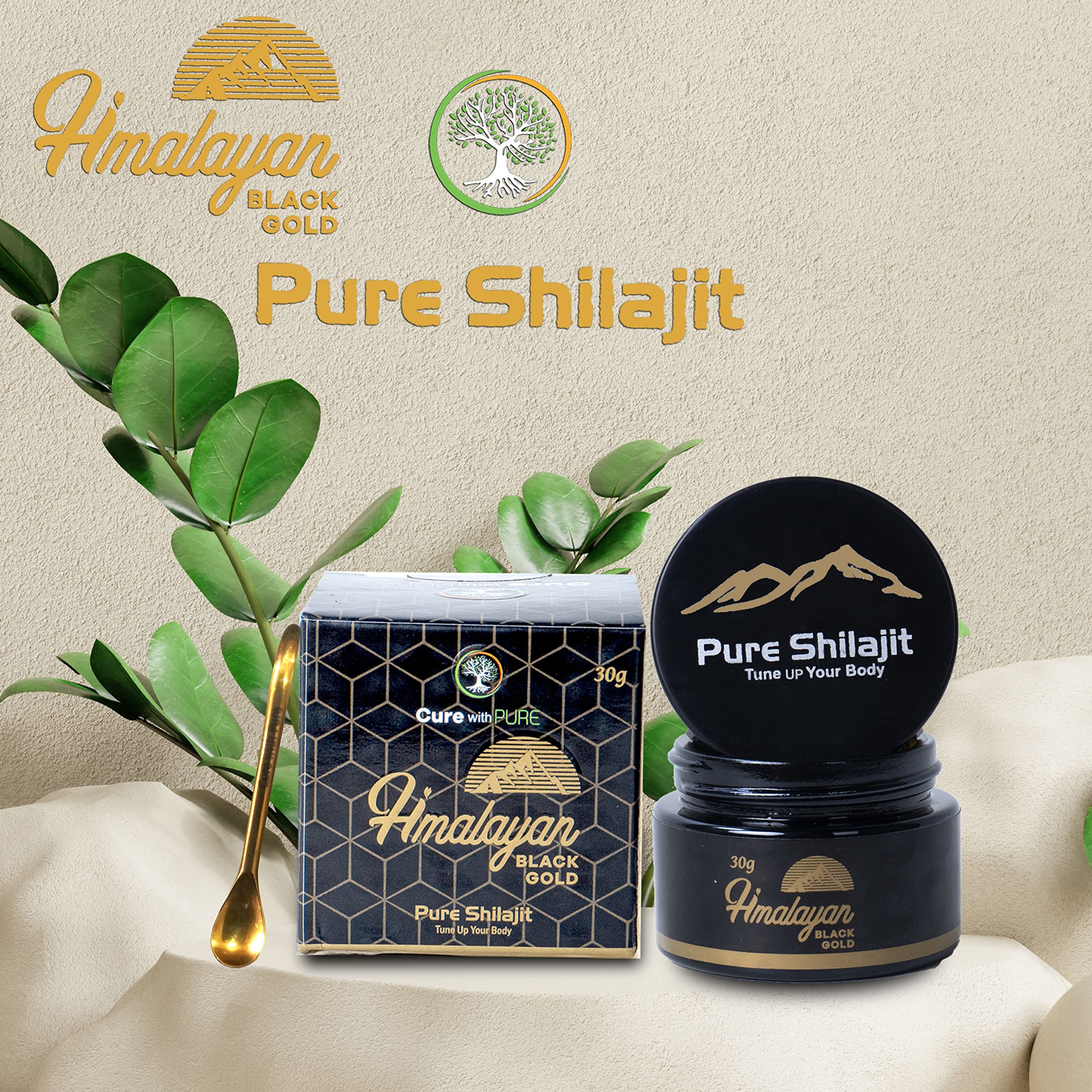 Himalayan shilajit for brain health