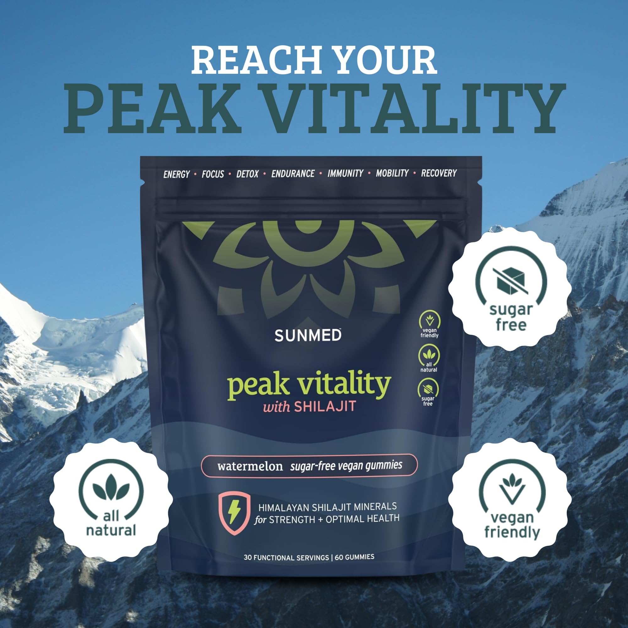 Himalayan Shilajit for cognitive focus