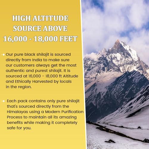 Himalayan shilajit for daily health