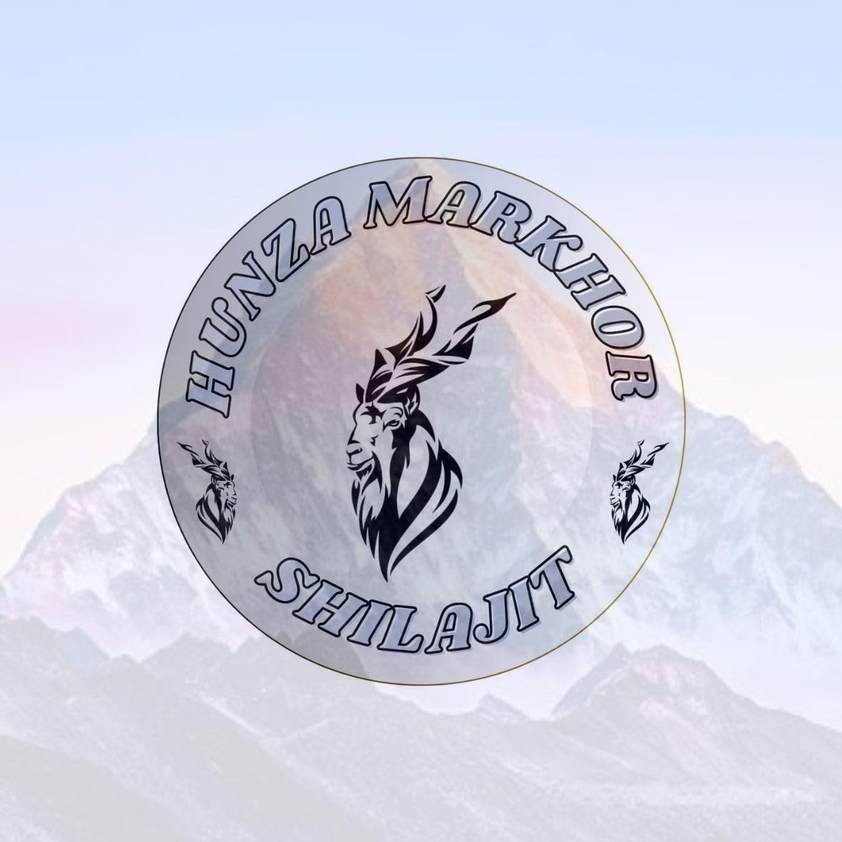 Himalayan Shilajit for daily vitality