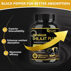 Himalayan shilajit for enhanced performance
