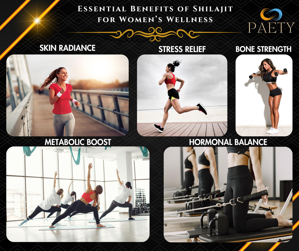 Himalayan shilajit for immune support